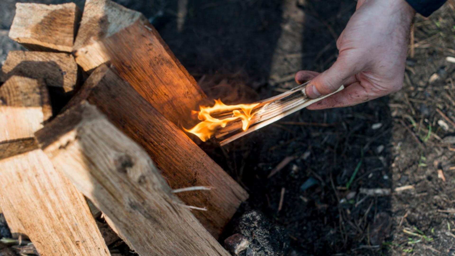 Evoluția prețurilor pentru lemnul de foc în 2025. Care este oferta ...